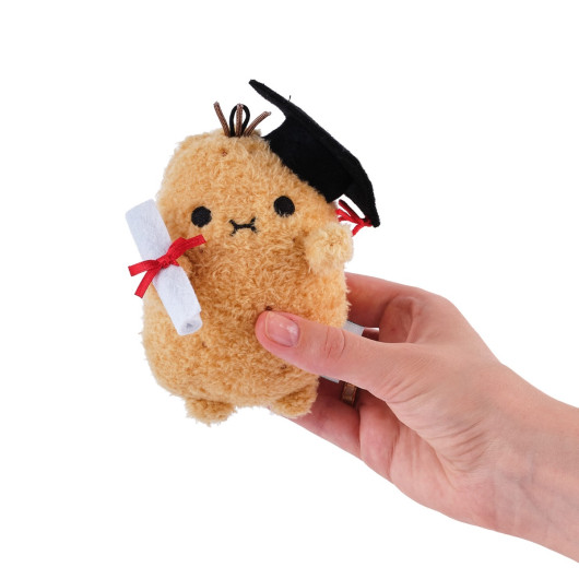 Cute, unique plush toys | Noodoll plushies