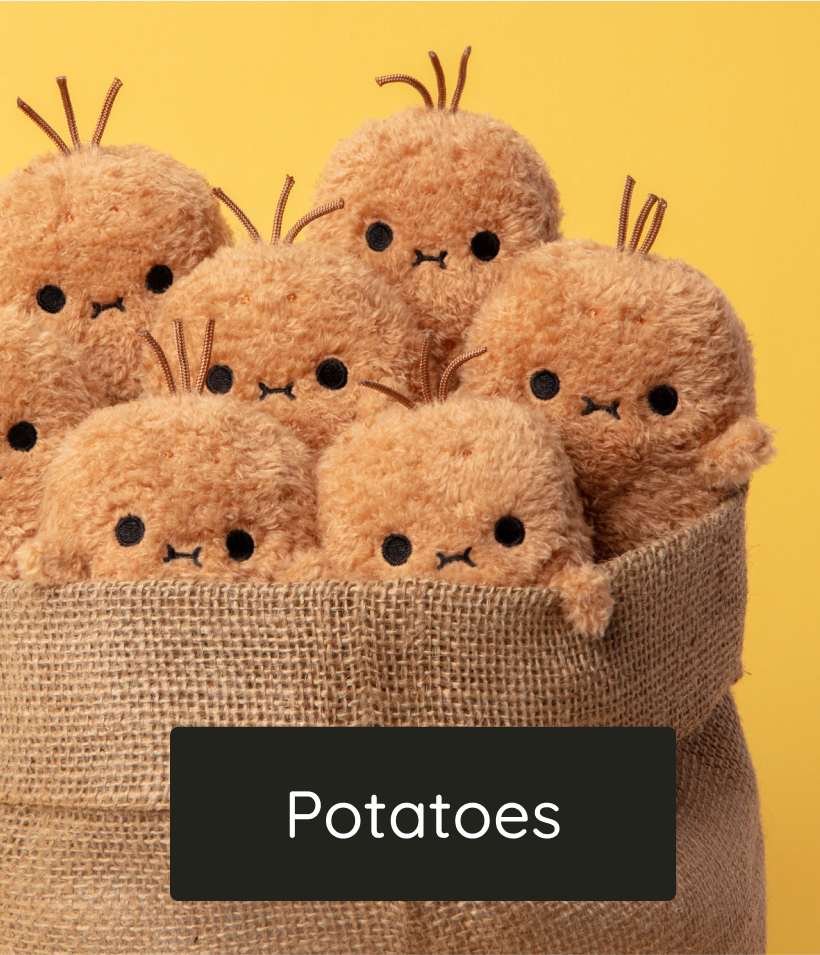 Noodoll | Stylish and Playful Gifts that last a lifetime